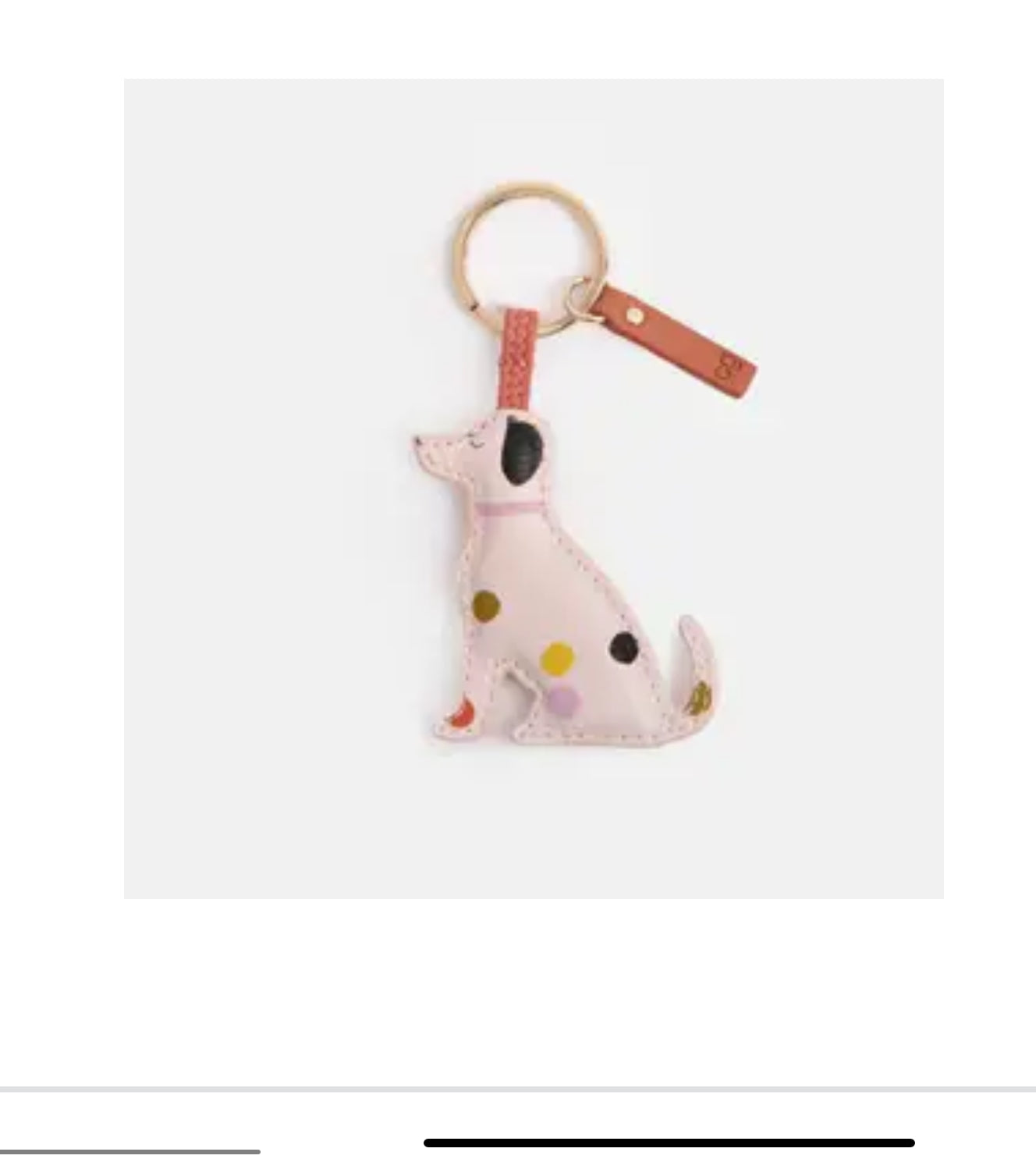 Pale Pink | Dotty Lab Dog – Wight Elephant Boutique